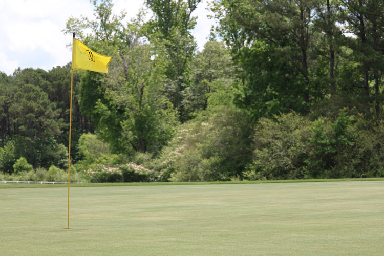 The Next Round Store – Next Round Live